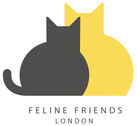 Feline Friends London | DONATE