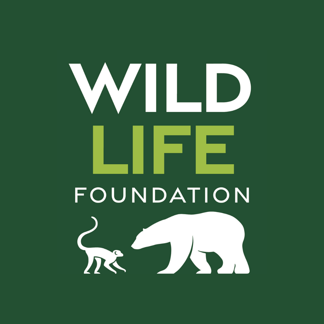Support African Lions | DONATE